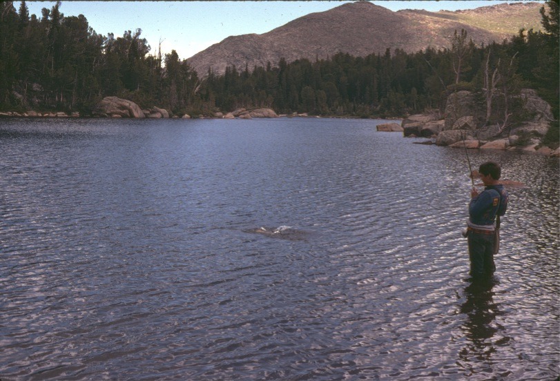 Fishing Dipper and Pallet