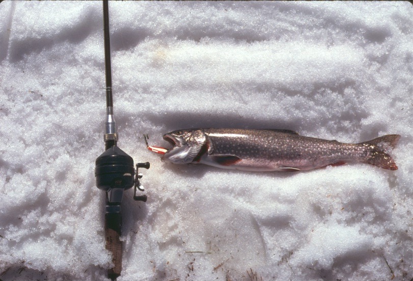 Fishing Dipper and Pallet