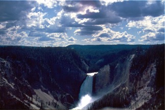 Yellowstone Falls